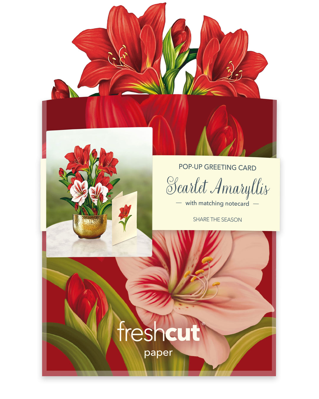 Freshcut Paper | Pop-Up Flower Bouquets That Last – Be Charmed